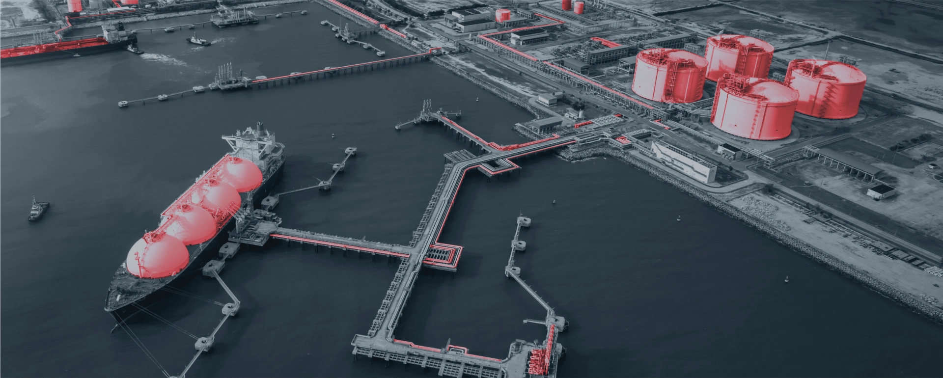 Kpler's Journey: From LNG Start-up to Global Leader